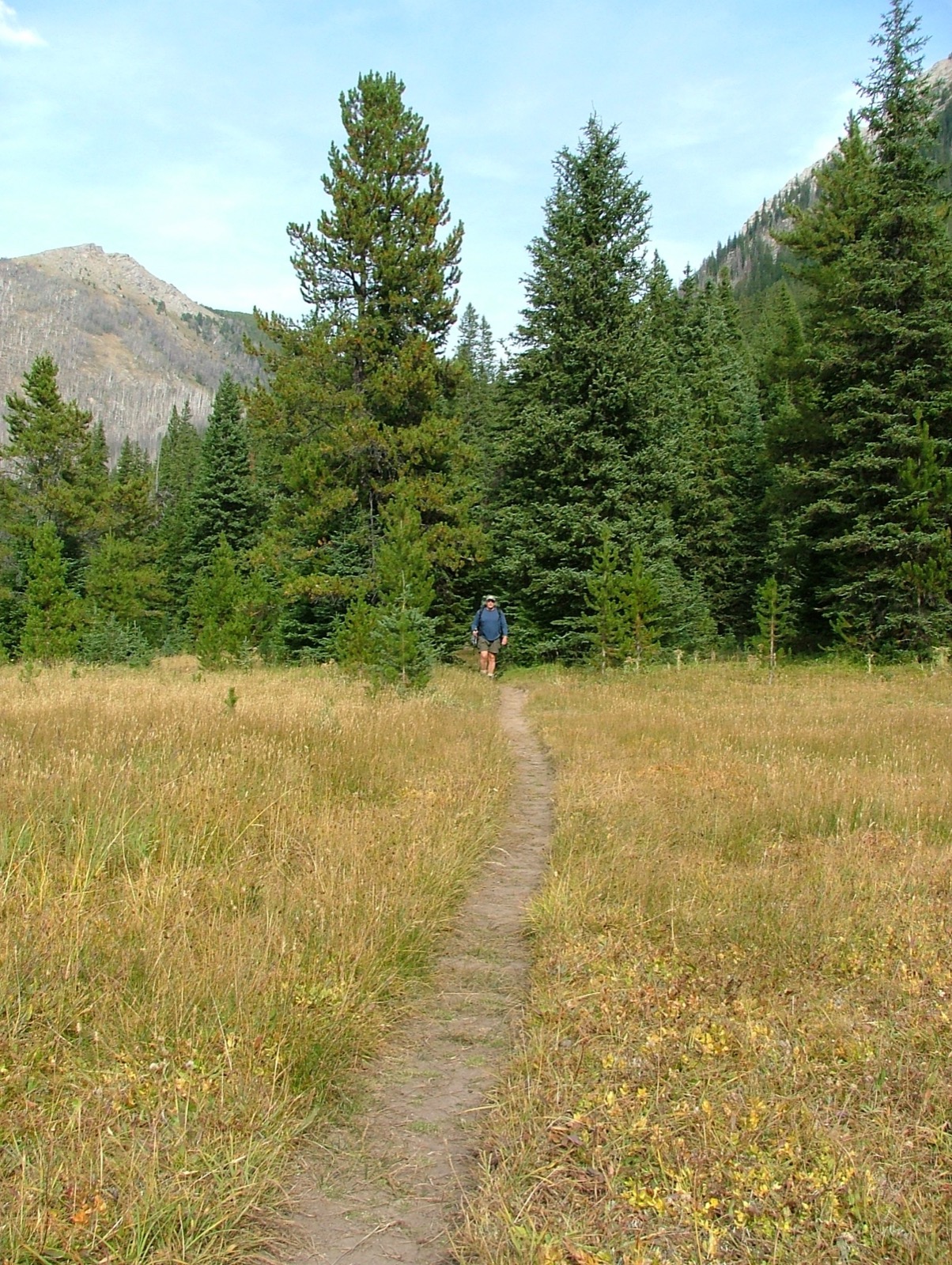 The Wilderness Coach - Your Adventure Starts Now - Steven D. Brand, Atlanta